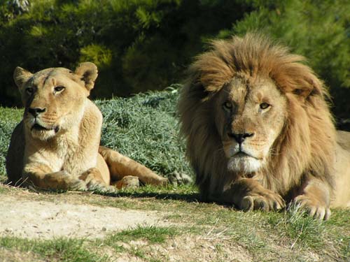 Fondu enchaîné photos